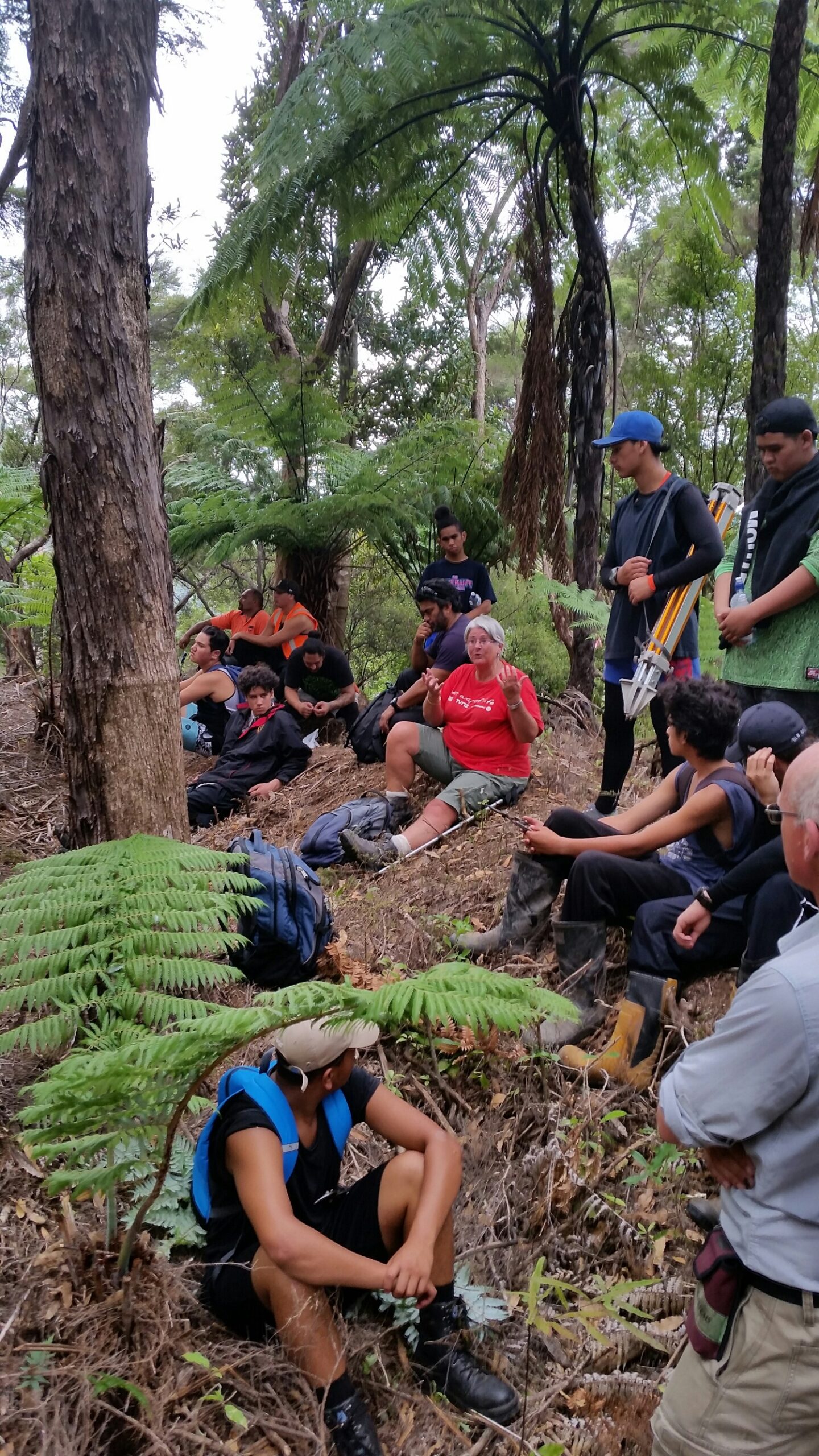 Blogs Indigenous heritage: Bicultural New Zealand | The International ...