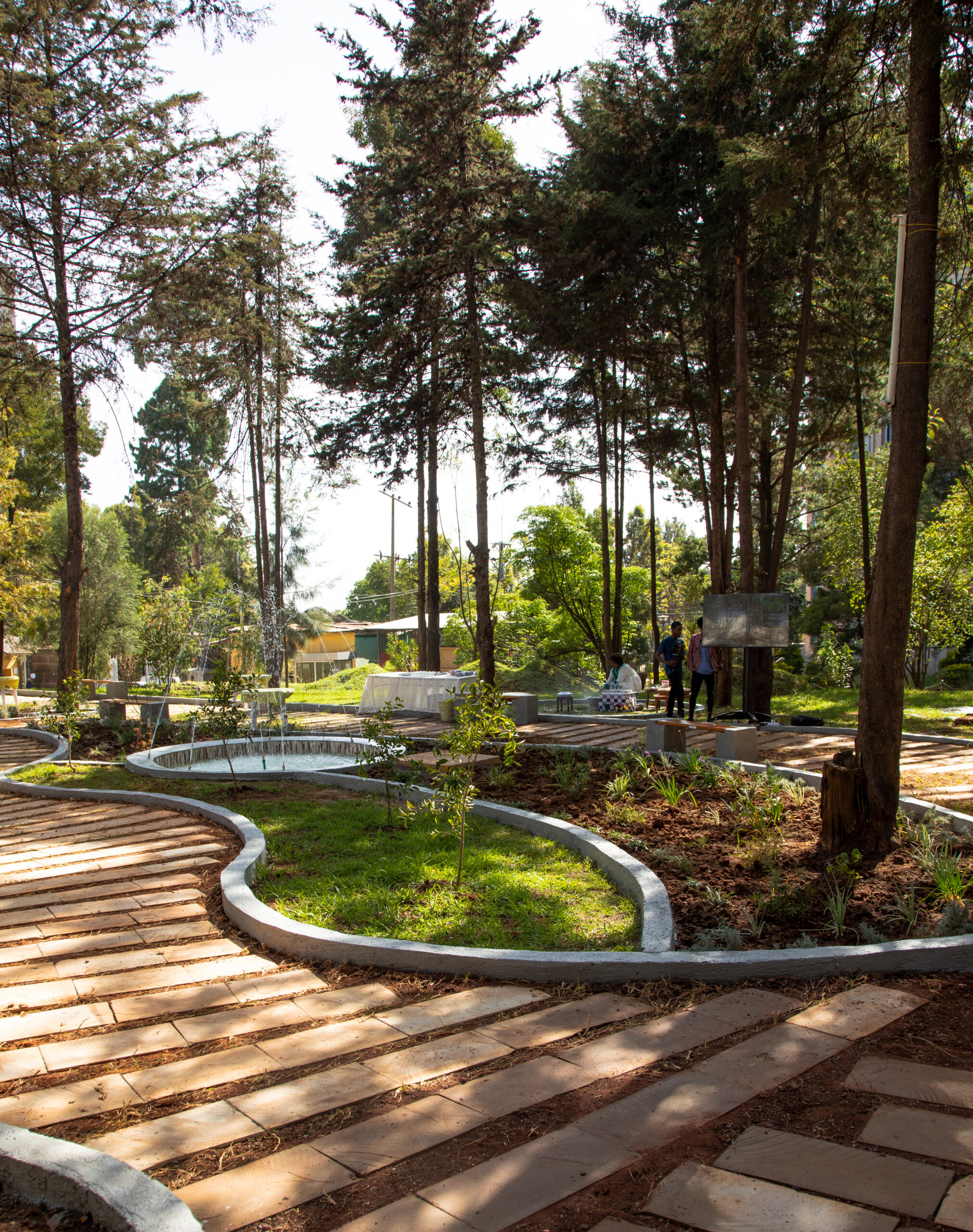 Welcome to the Tsegereda Garden - The International National Trusts ...